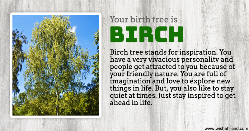 Your Birth Tree: Birch Tree